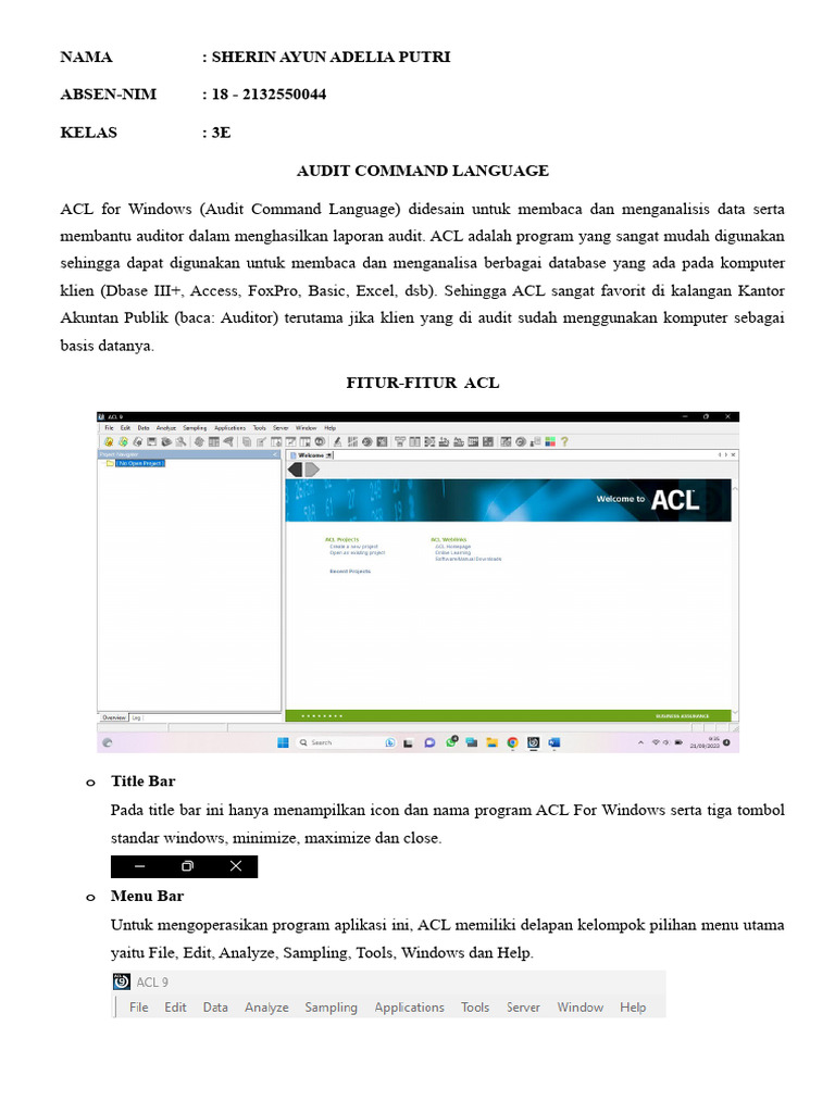 Teknik Audit Berbantuan Komputer | PDF