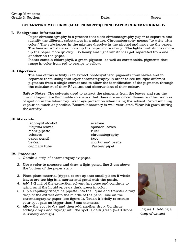 Paper Chromatography Experiment Pdf Chromatography Solvent