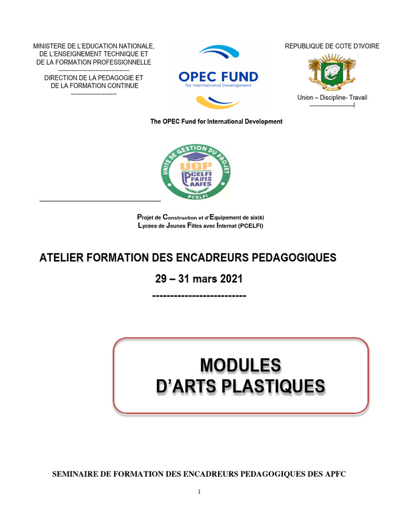 Module ARTS PLASTIQUES - Atelier OFID | PDF