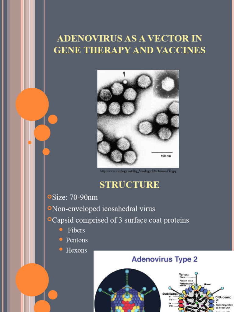 Adenovirus | PDF