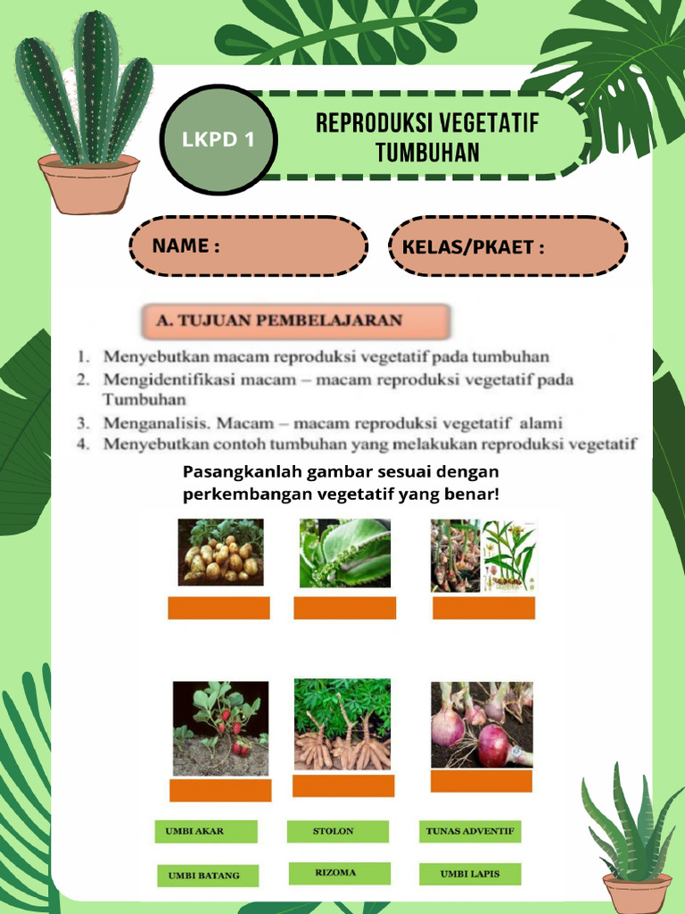 LKPD Paket B Ipa - Perkembangbiakan Tumbuhan | PDF