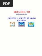 SGK Sinh 12 Kết Nối Tri Thức | PDF