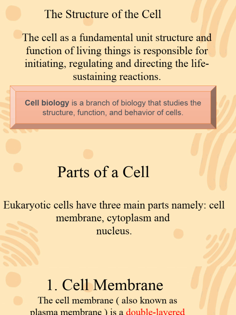 Cell Structure | PDF