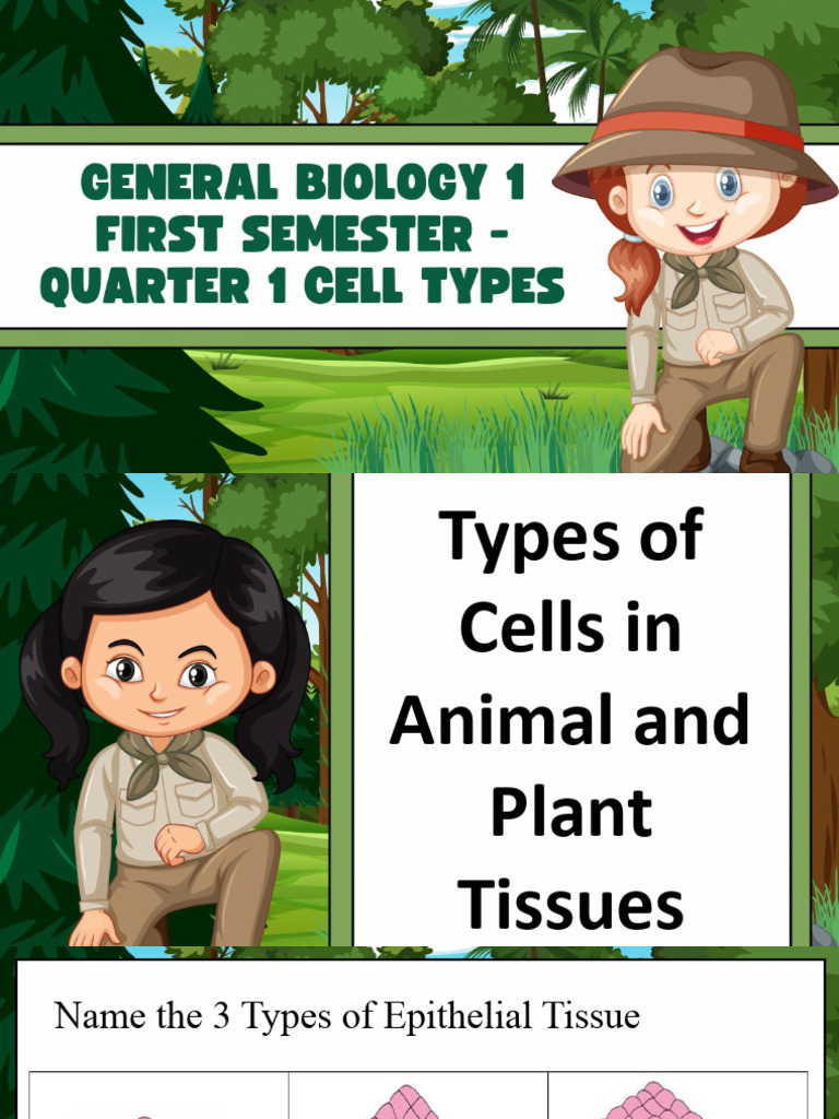 Plants Tissue Pdf Tissue Biology Branches Of Botany