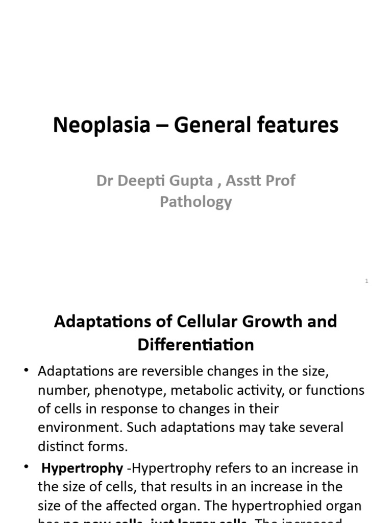 Characteristics of Neoplastic Cells | PDF | Science & Mathematics