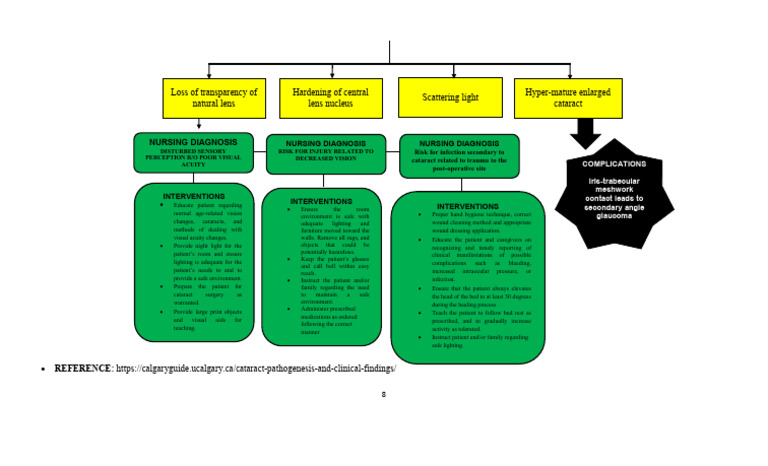 Cataract Case Concept Map | PDF
