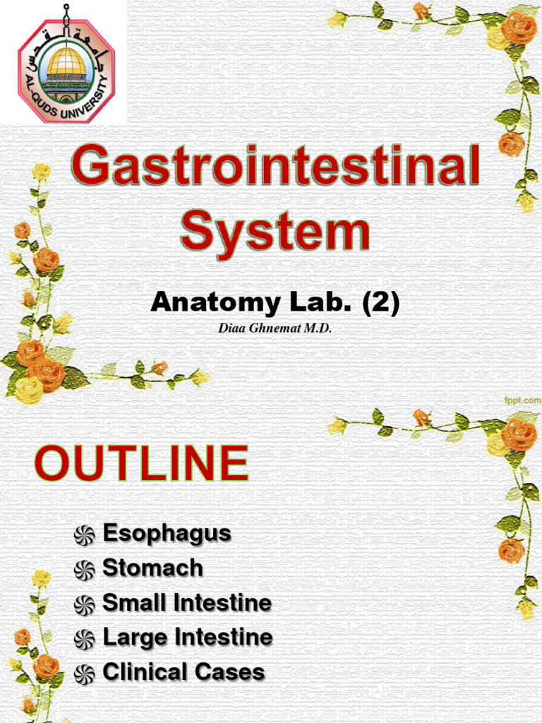 Anatomy Lab. (2) : Diaa Ghnemat M.D | PDF | Foreign Language Studies ...