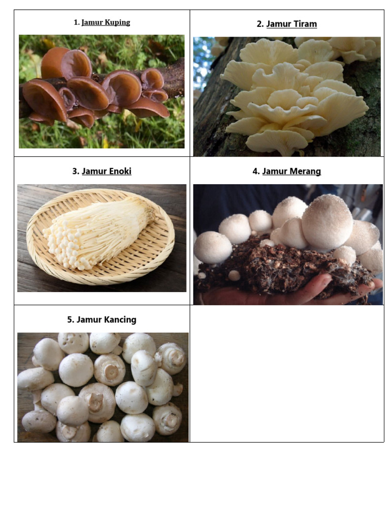 Gambar Jamur | PDF