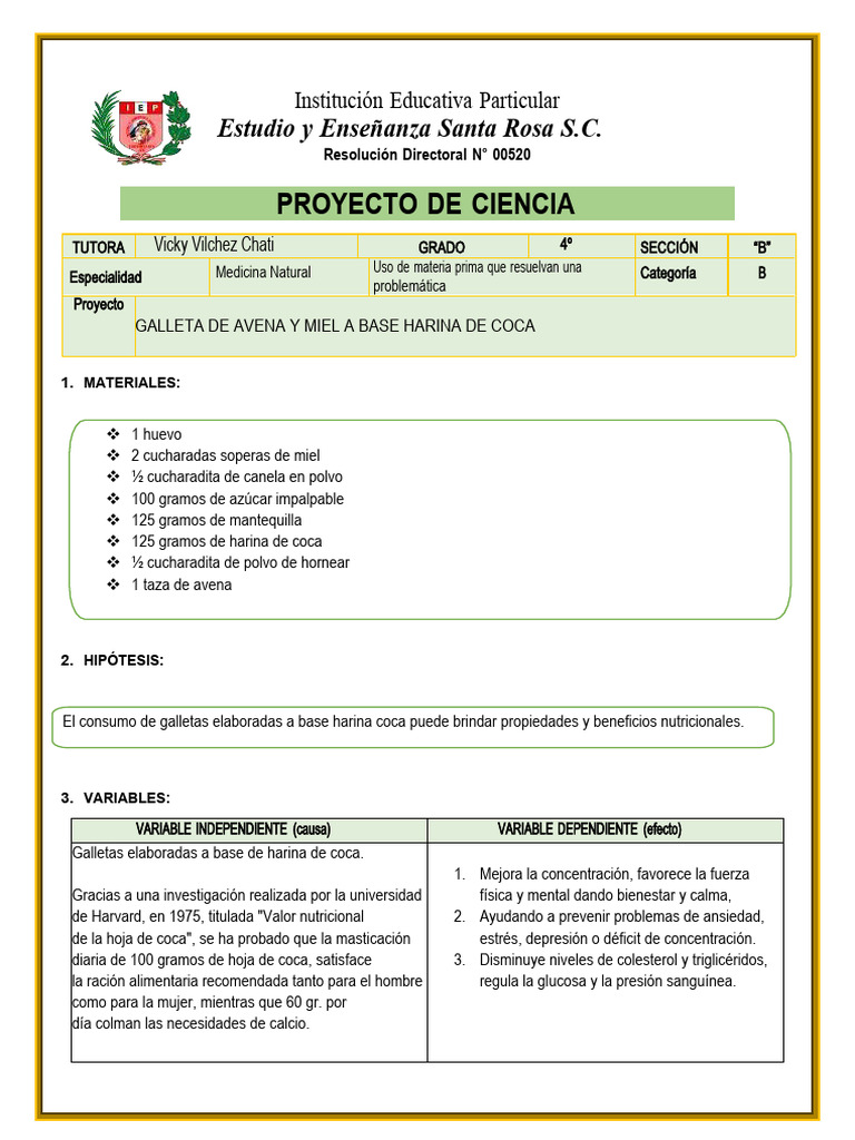 Proyecto de Ciencia Estructura | PDF | Galleta | Miel