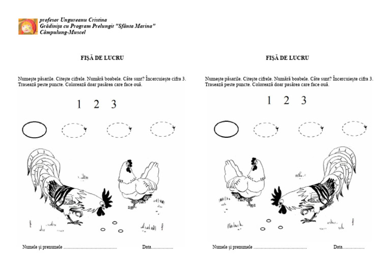 FISA Cocosul Si Gaina | PDF