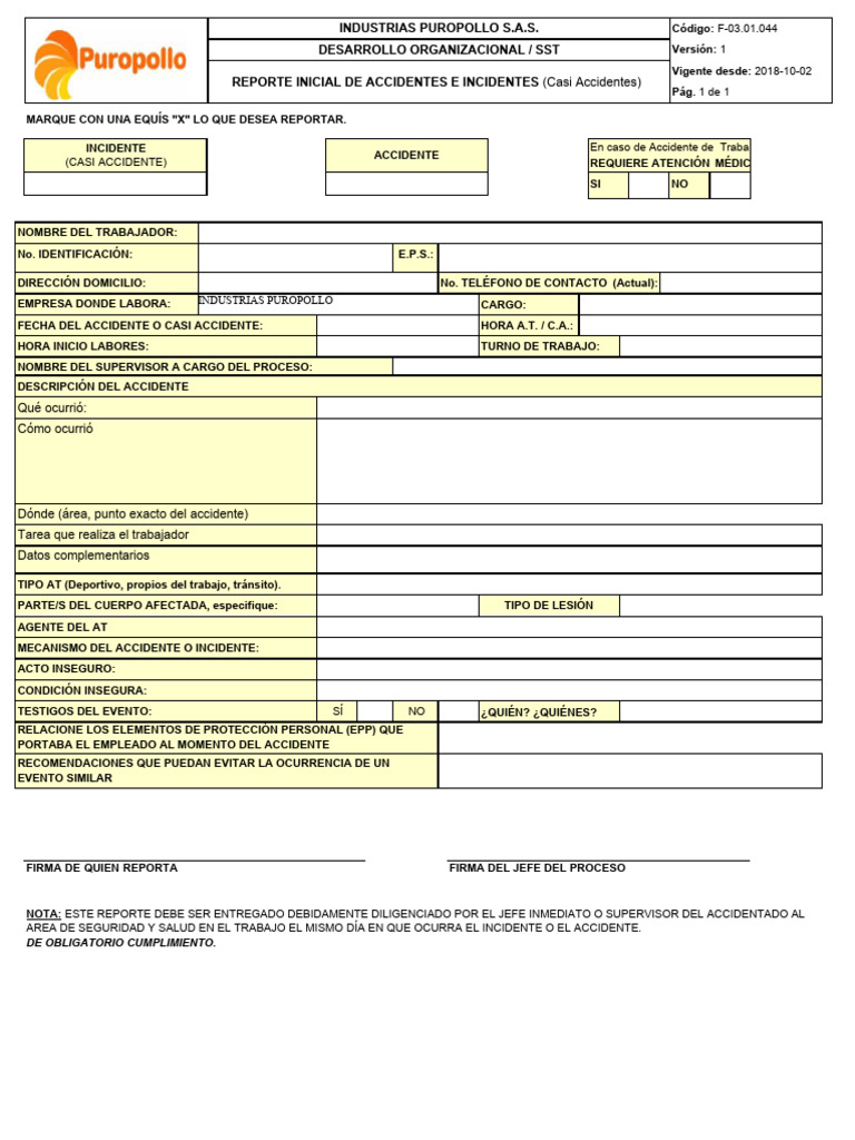 Formato Reporte Inicial | PDF