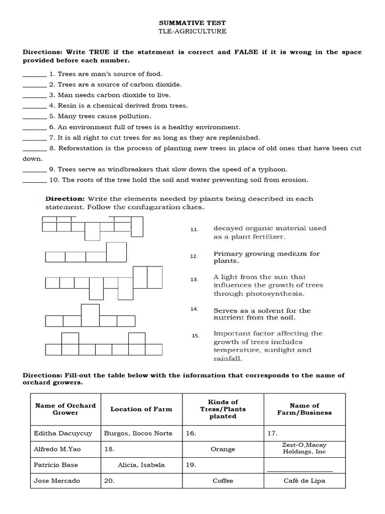Summative Test | PDF
