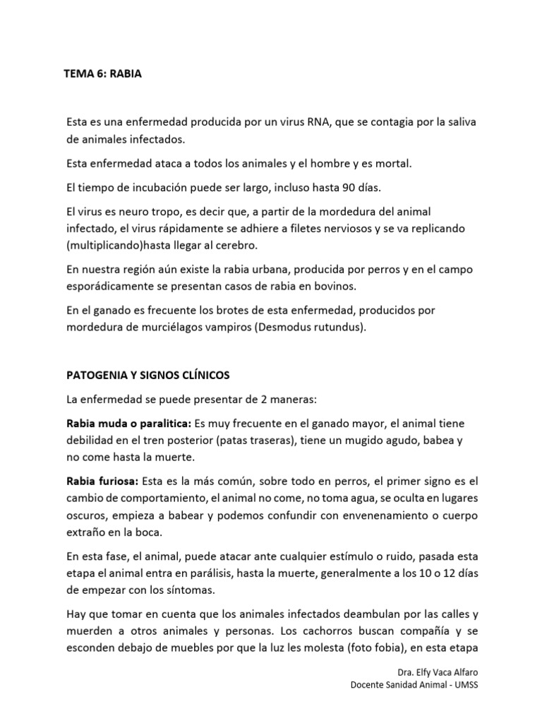 Tema 6 Rabia | PDF