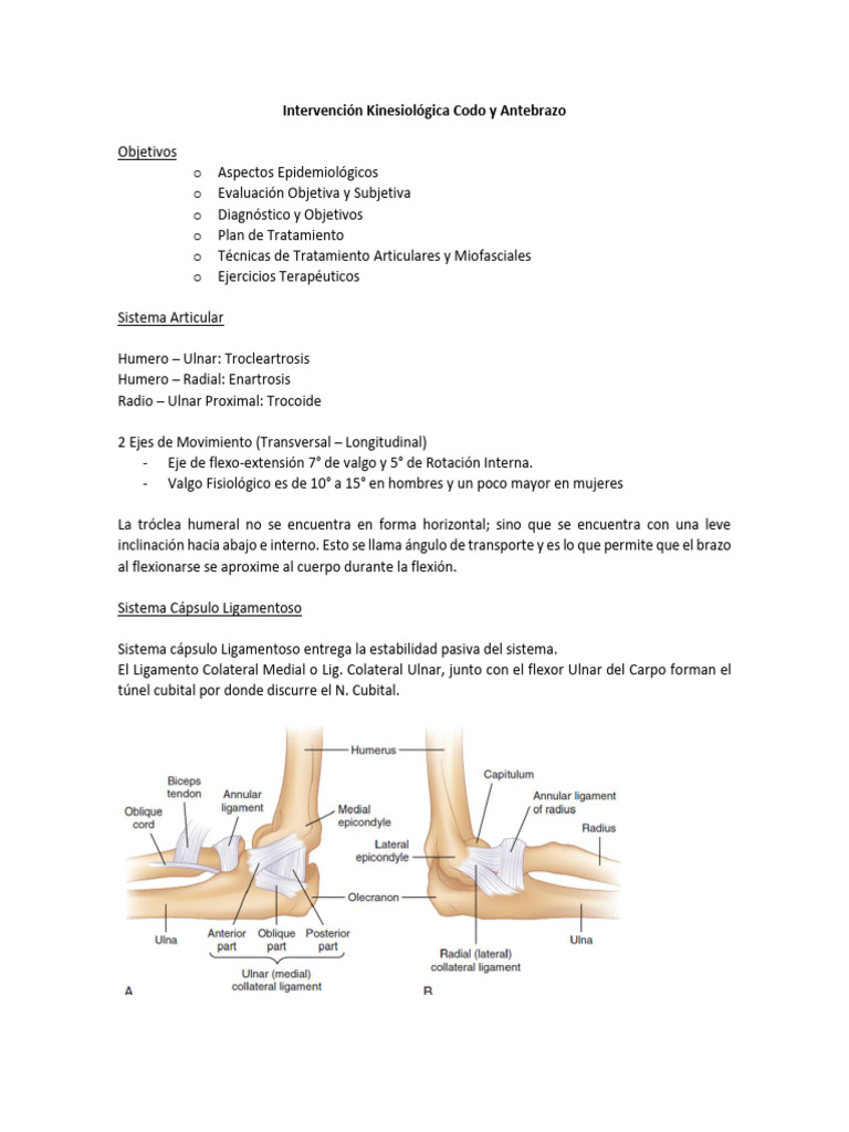 Lectura Previa Codo | PDF | Codo | Anatomía humana Lectura Previa Codo | PDF | Codo | Anatomía humana