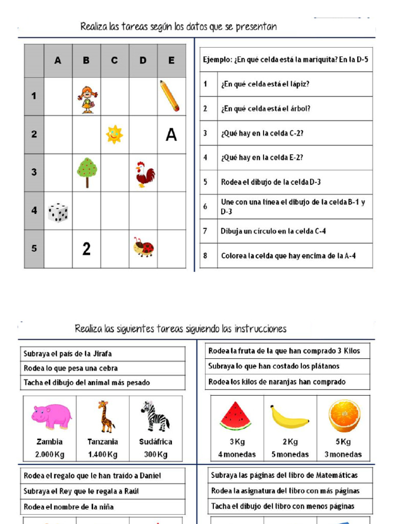Seguimiento de Instrucciones PDF | PDF