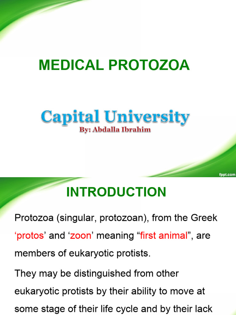 Medical Protozoa: Types and Diseases | PDF | Science & Mathematics ...