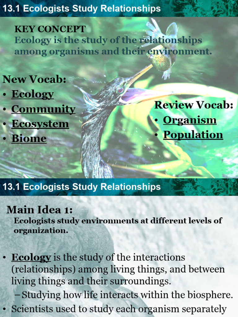 Ecology | PDF | Wellness | Science & Mathematics