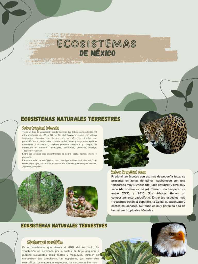 Presentacion Ecosistemas | PDF