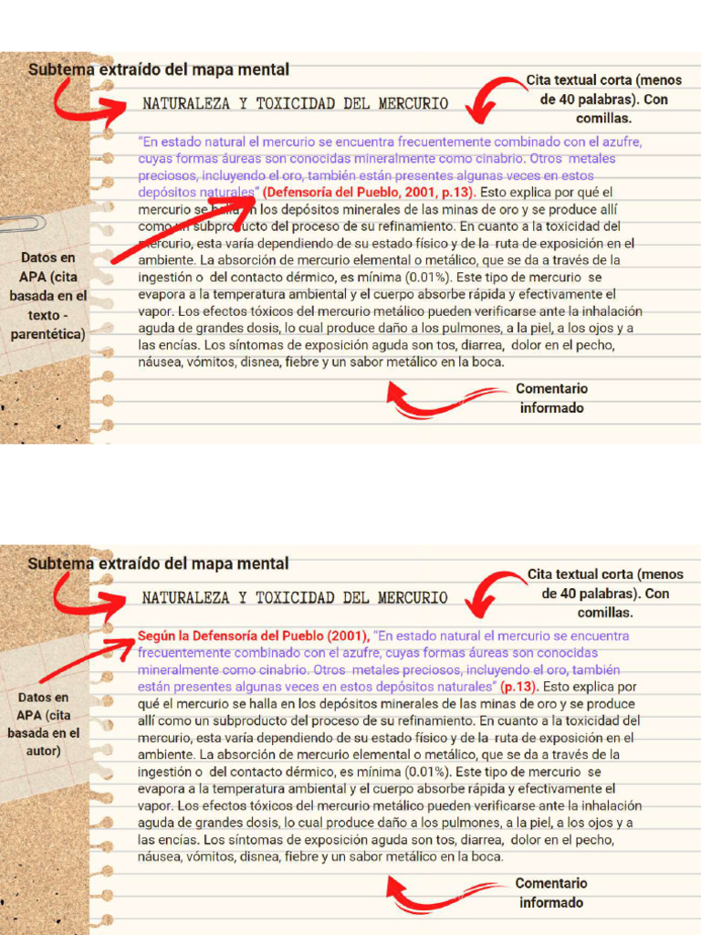 Modelo de Fichas en APA | PDF