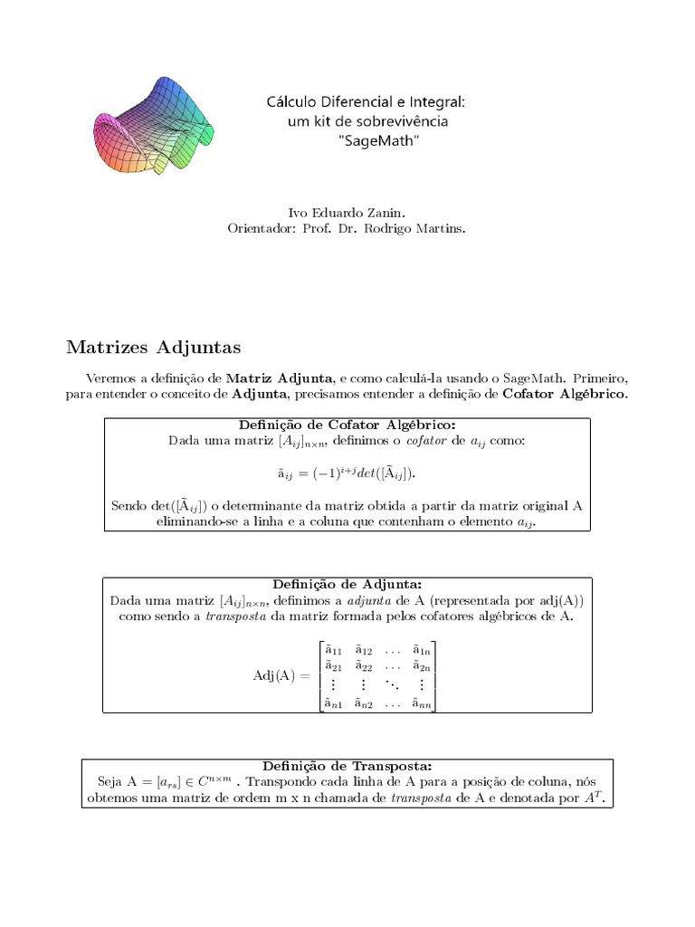 Matriz Adjunta | PDF | Matriz (Matemática) | Determinante