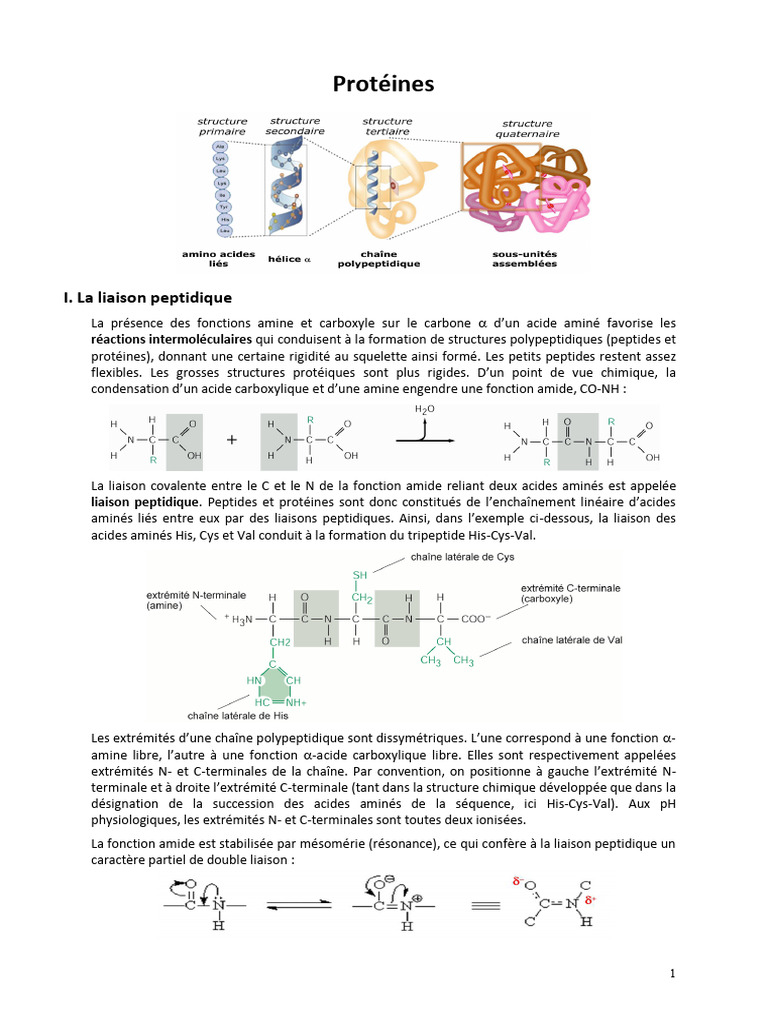 Sn2 Et SN1 Chimie Organique | PDF
