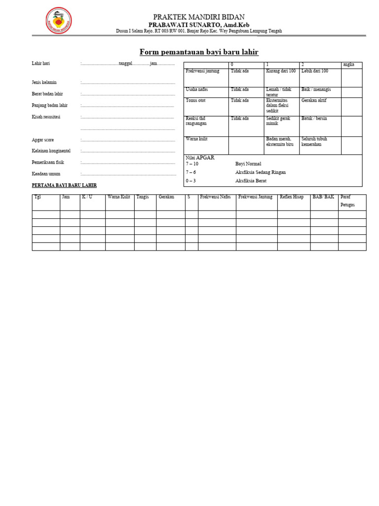 Form Pemantauan Bayi Baru Lahir | PDF