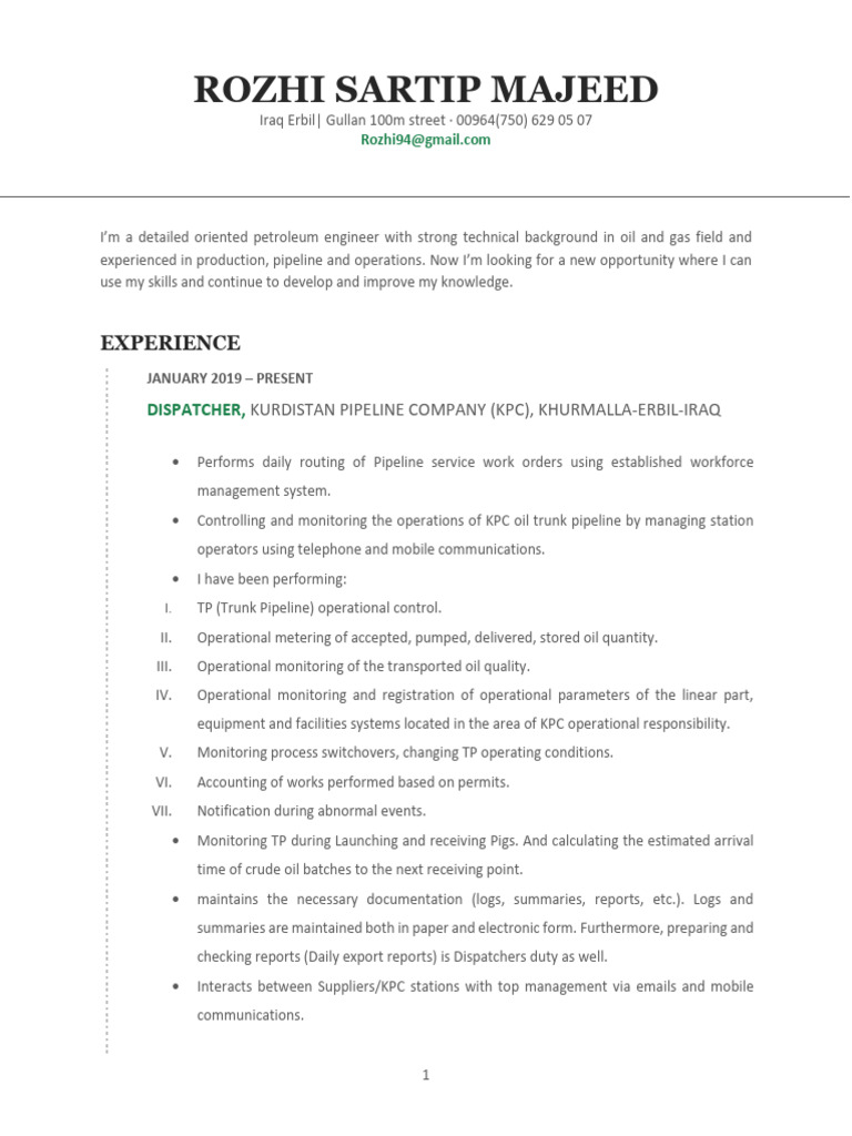 Rozhi S.majeed - CV | PDF