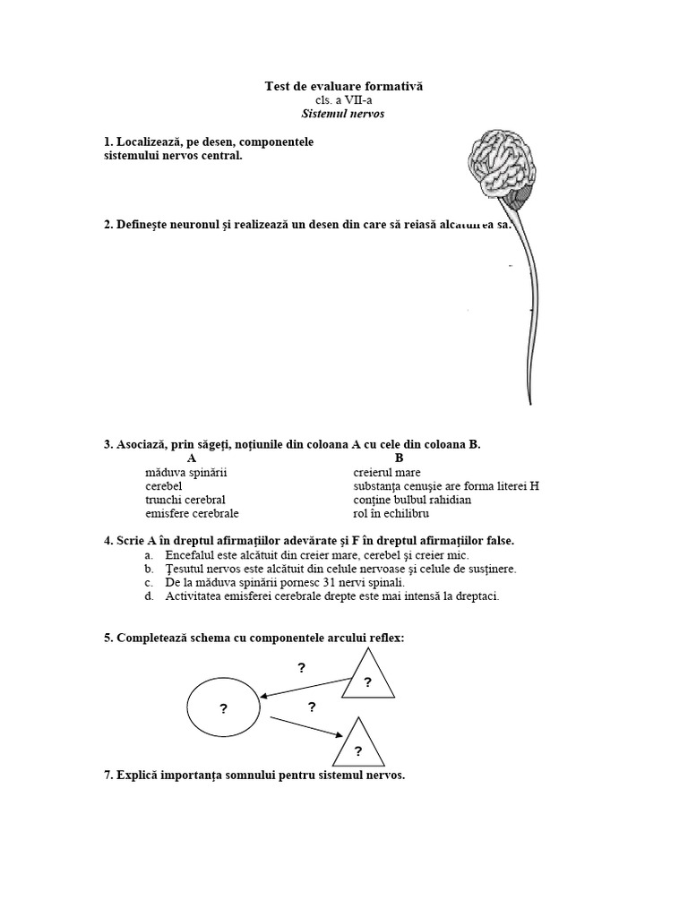 test -sistemul nervos | PDF