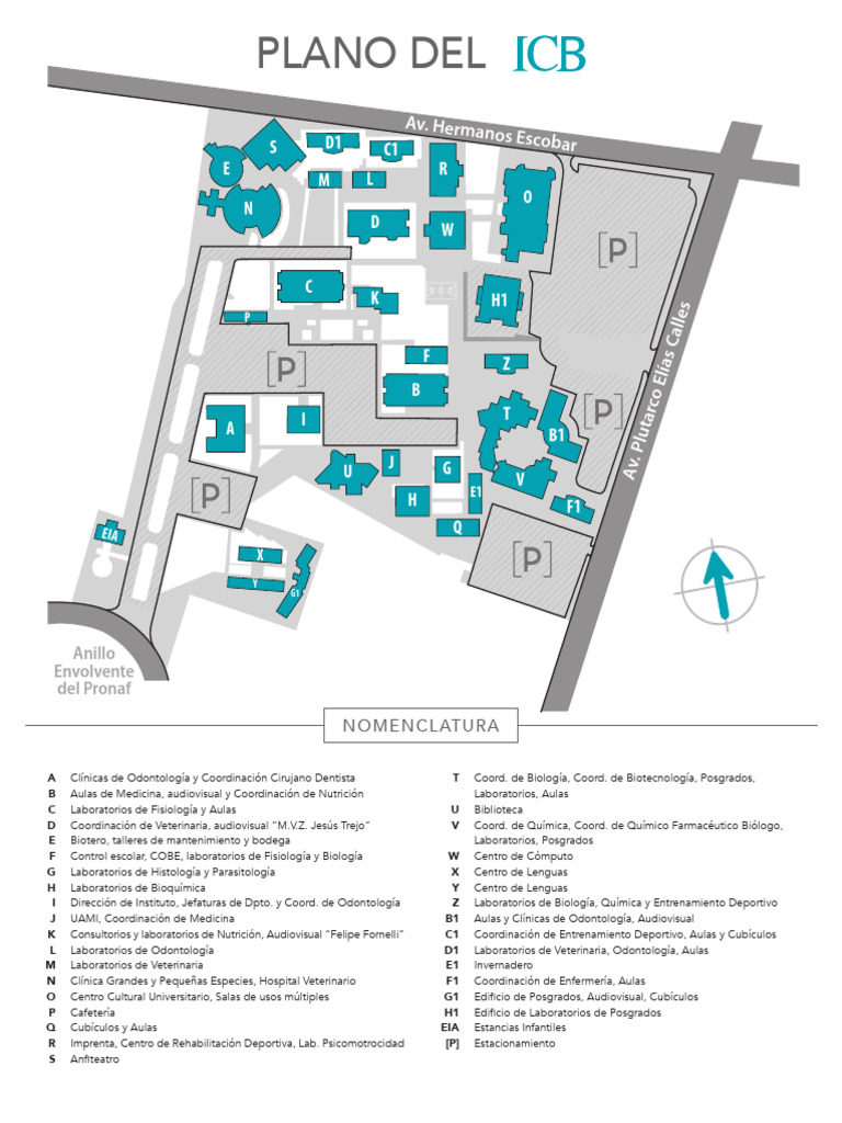 Plano ICB 2022 | PDF