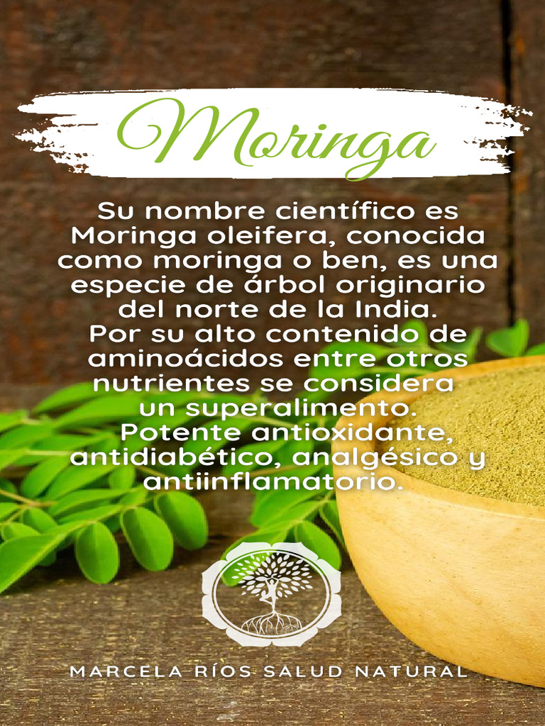 Libro Moringa | PDF