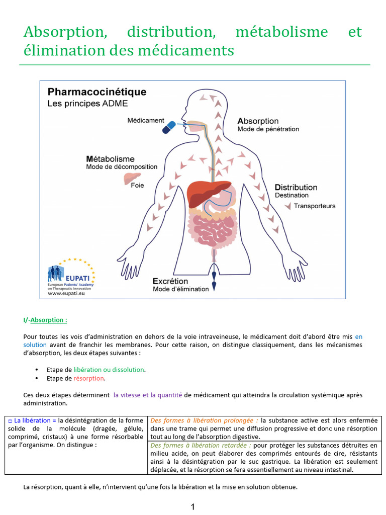 Rym Mouzali (a.D.M.E) | PDF