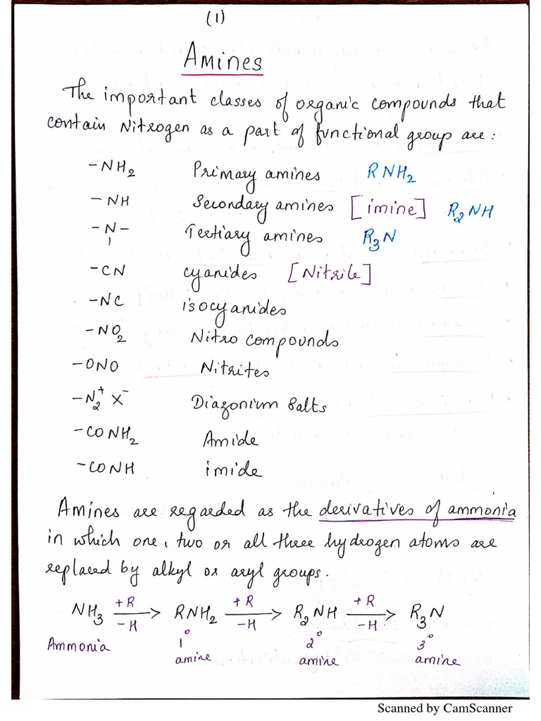 Amines Notes | PDF