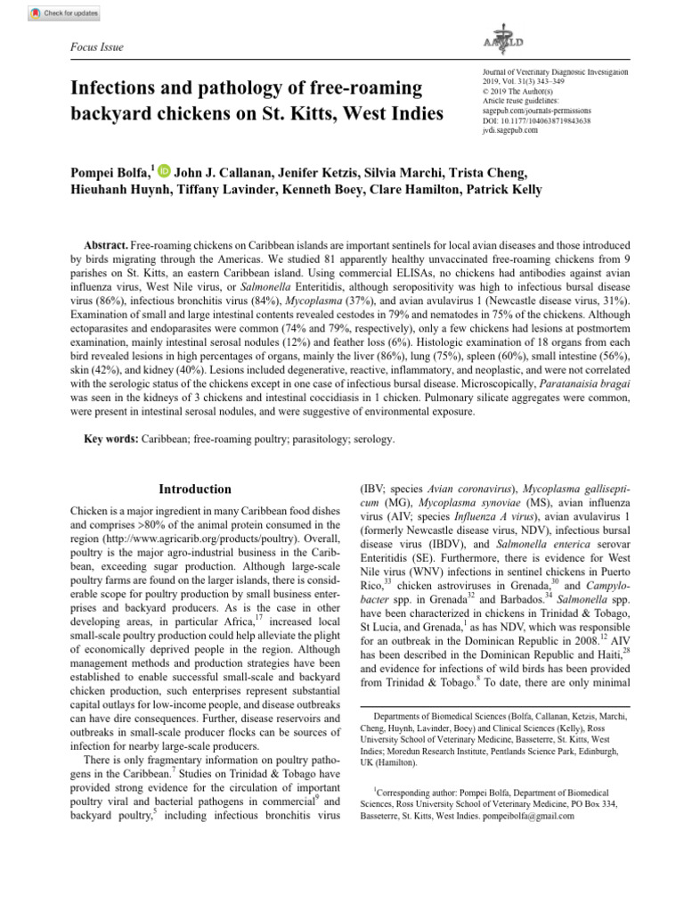 Bolfa Et Al 2019 Infections and Pathology of Free Roaming Backyard ...