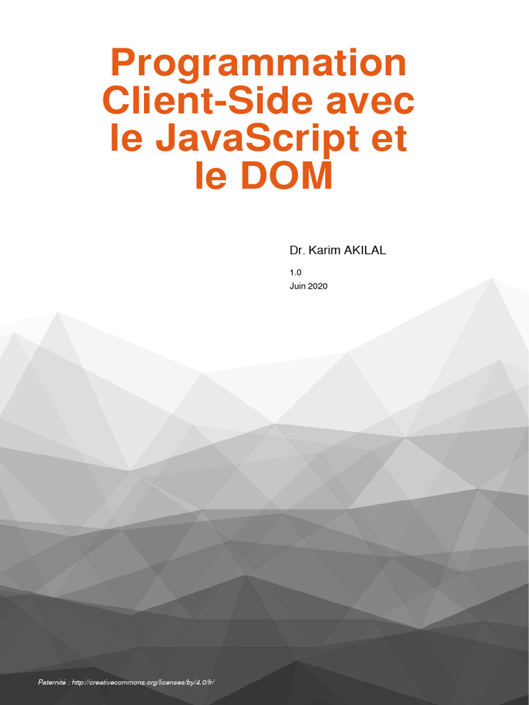 Javascript Papier | PDF