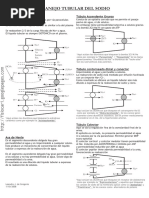 Anatomía y Función Del Túbulo Contorneado Distal (Autoguardado) | PDF ...