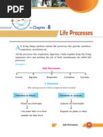 Class 10 Science Chapter 6 Life Processes Notes | PDF