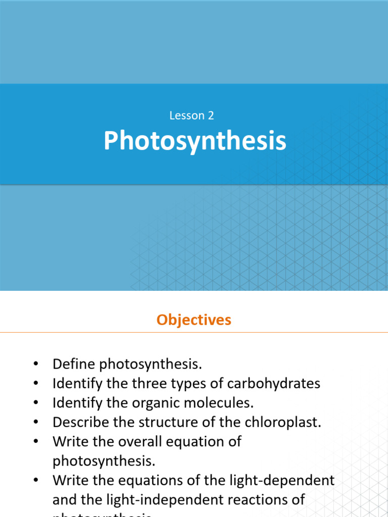 Lesson 8.2 Photosynthesis | PDF | Photosynthesis | Chloroplast