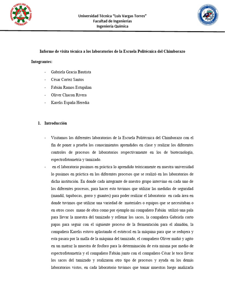 Formato Informe | PDF
