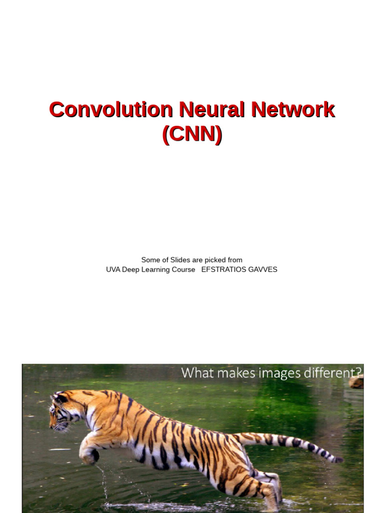 CNN 1 | PDF