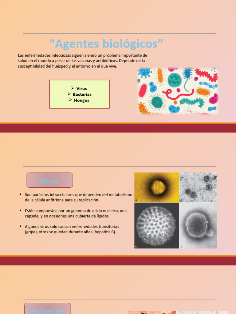 Agentes Biologicos | PDF