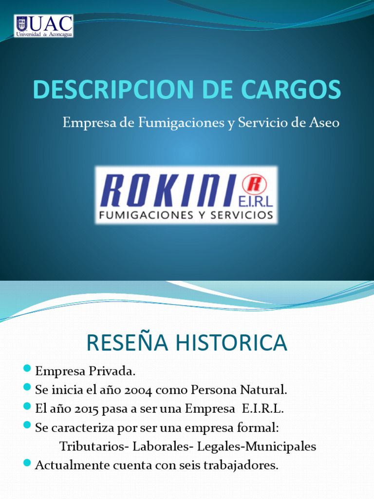 Descripcion de Cargos | PDF | Business