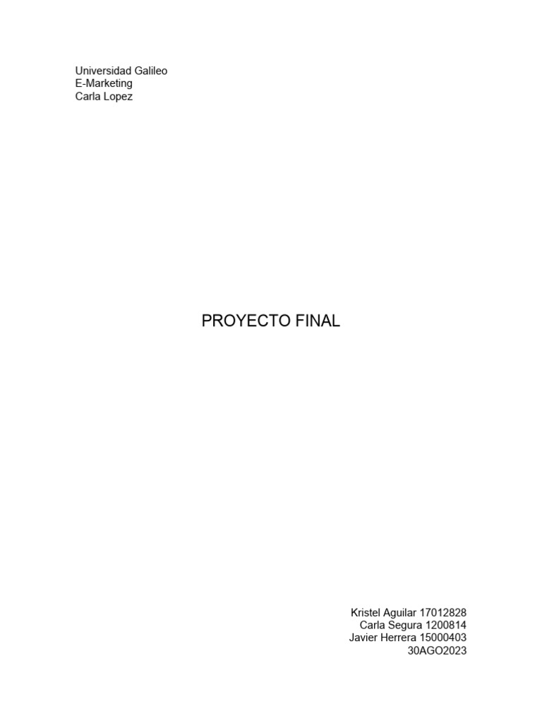 Proyecto Final E-Marketing 2023 | PDF