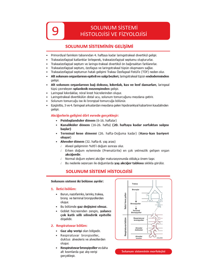 Solunum Sistemi | PDF
