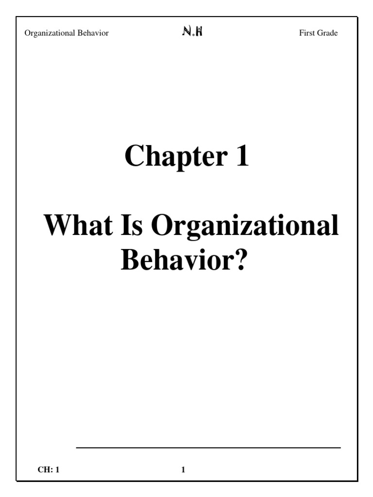 DR Nabil OB CH1 | PDF