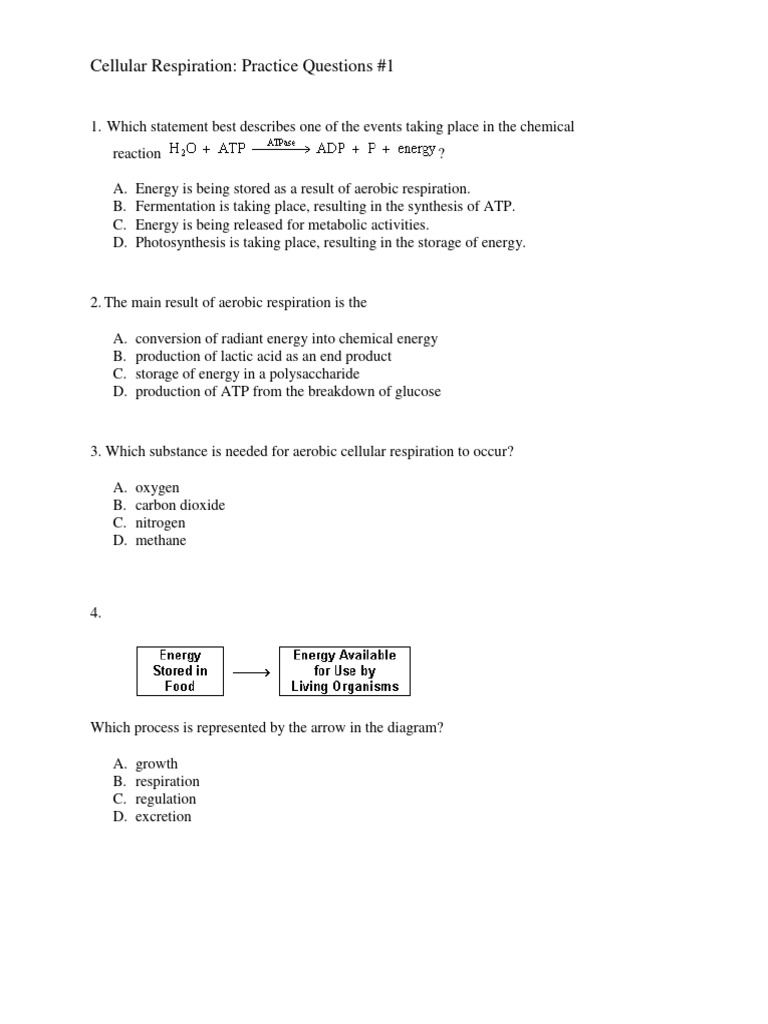 Practice Questions 1 Cellular Respiration Pdf