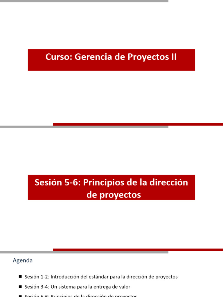 Proyectos 1 | PDF