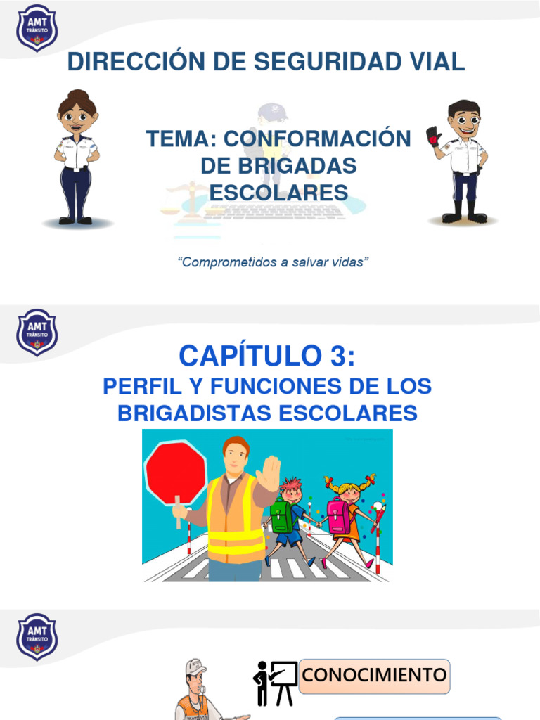 Capítulo 3_Presentación de brigadas escolares_PERFIL Y FUNCIONES DE LOS ...