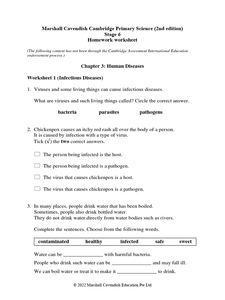 Worksheet Chapter 3 | PDF