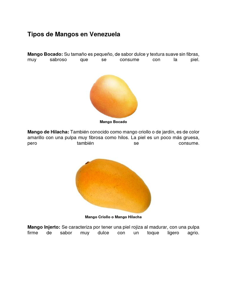 Tipos de Mango en Venezuela | PDF | Salud y bienestar