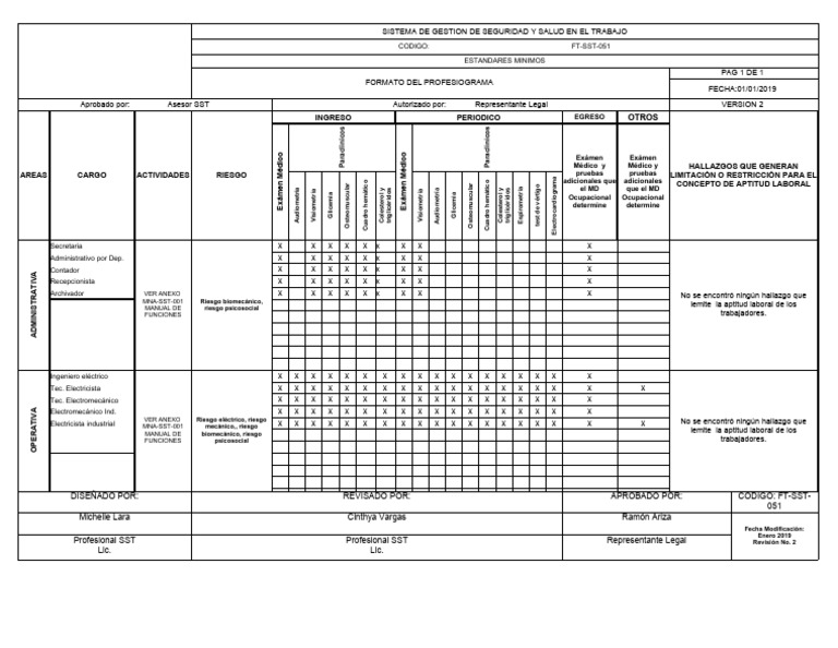 6 FT SST 051 Formato de Profesiograma | PDF